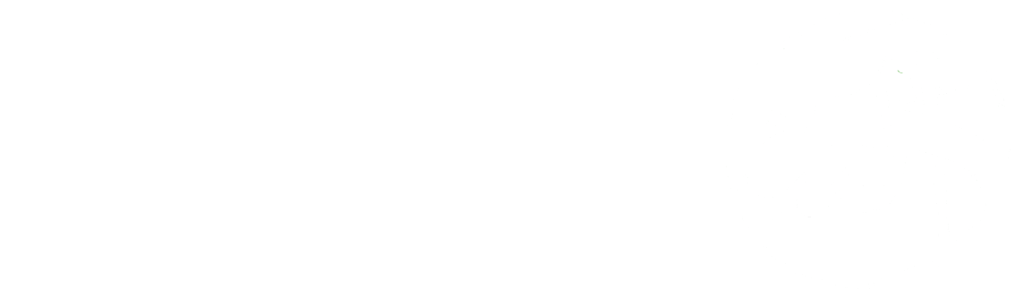 CVS 2024 Saudi – China Visitors Summit